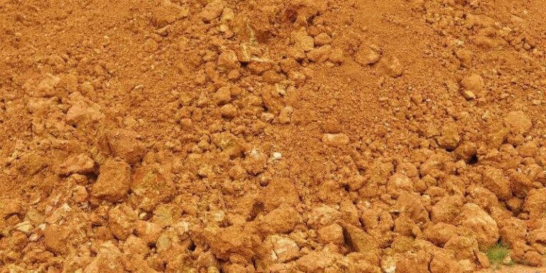 Is Red Soil Good for Gardening? What You Need to Know!