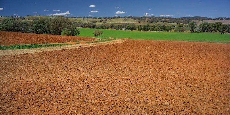 Is Red Soil Good for Gardening? What You Need to Know!