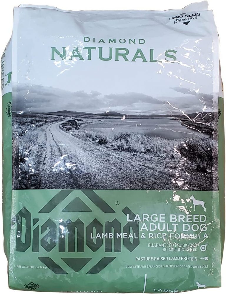 Best Dog Food for Saint Bernard Puppy; A Honest Review for Your Puppy ...