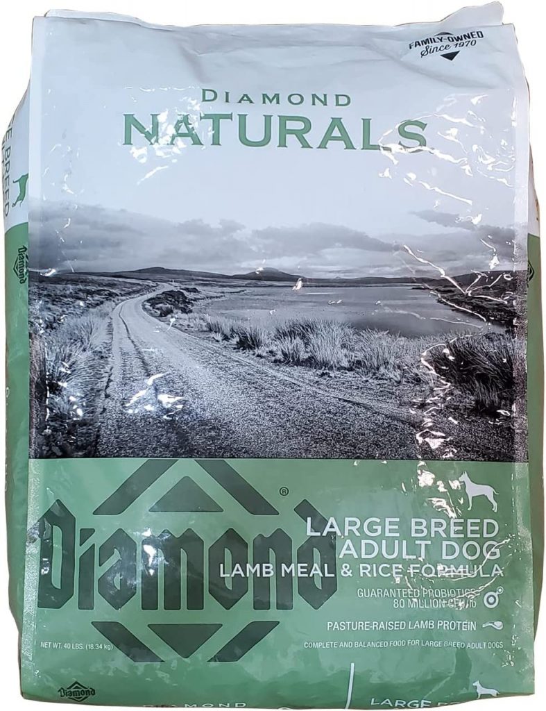 Best Dog Food for Saint Bernard Puppy; A Honest Review for Your Puppy ...