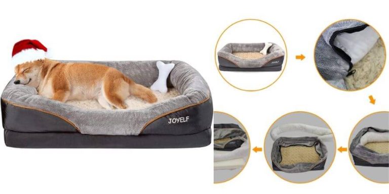 The 6 Best Dog Beds for Corgis of Every Sizes - theoutdor